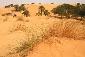 Mauritania -- Waypoint: Nouakchott | USnomads - The Roadbook